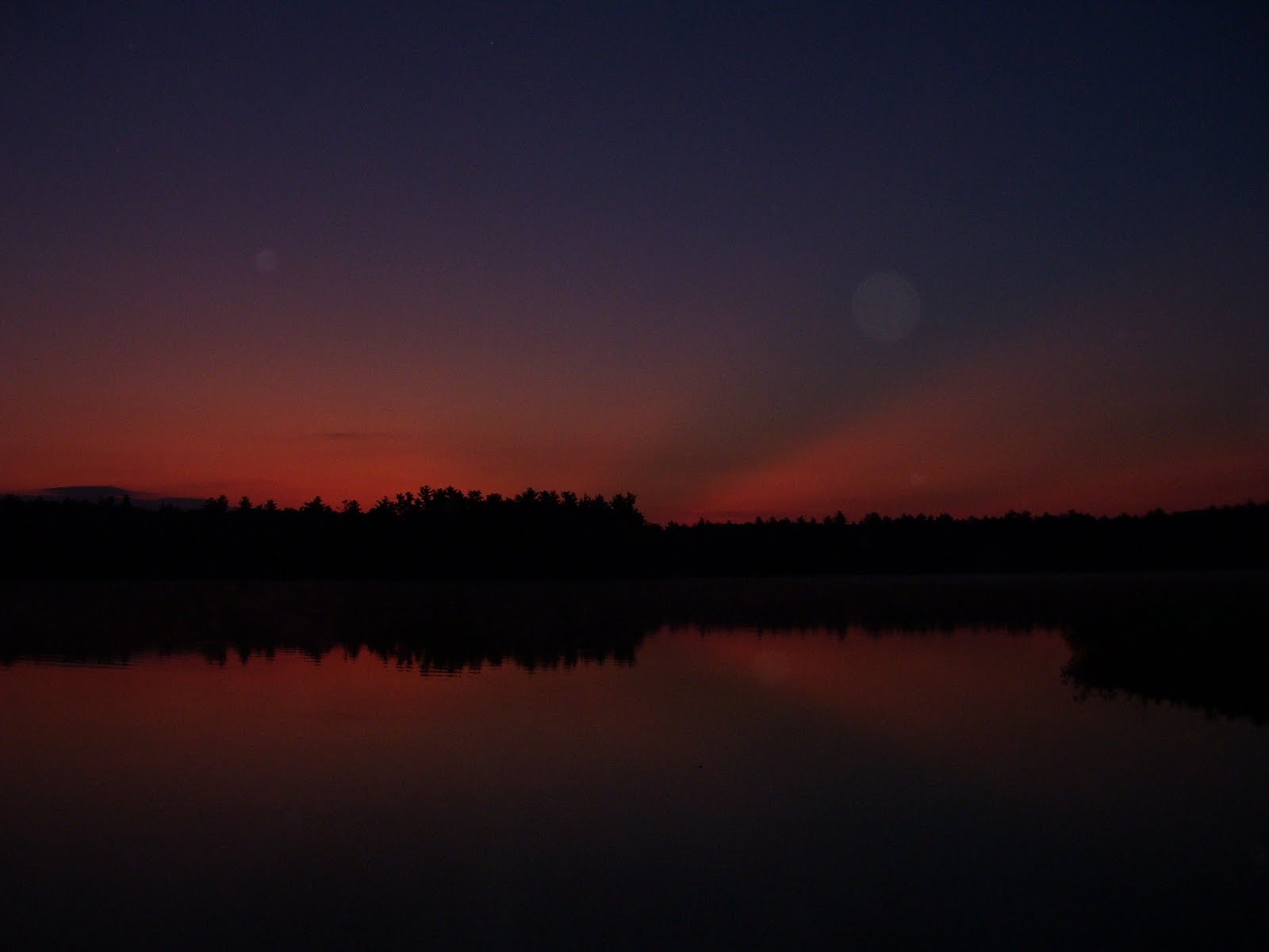 Heady Blossoms : Journal: Duncan Lake – The New Season