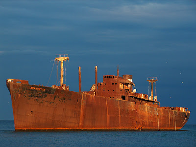 Alice Photo: Epava de la Costinesti