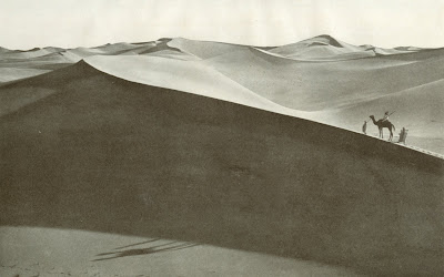 Propnomicon: Ship of the Desert