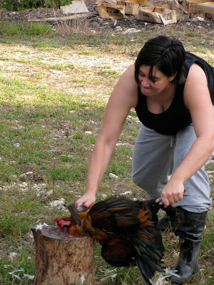 Chicken Slaughter