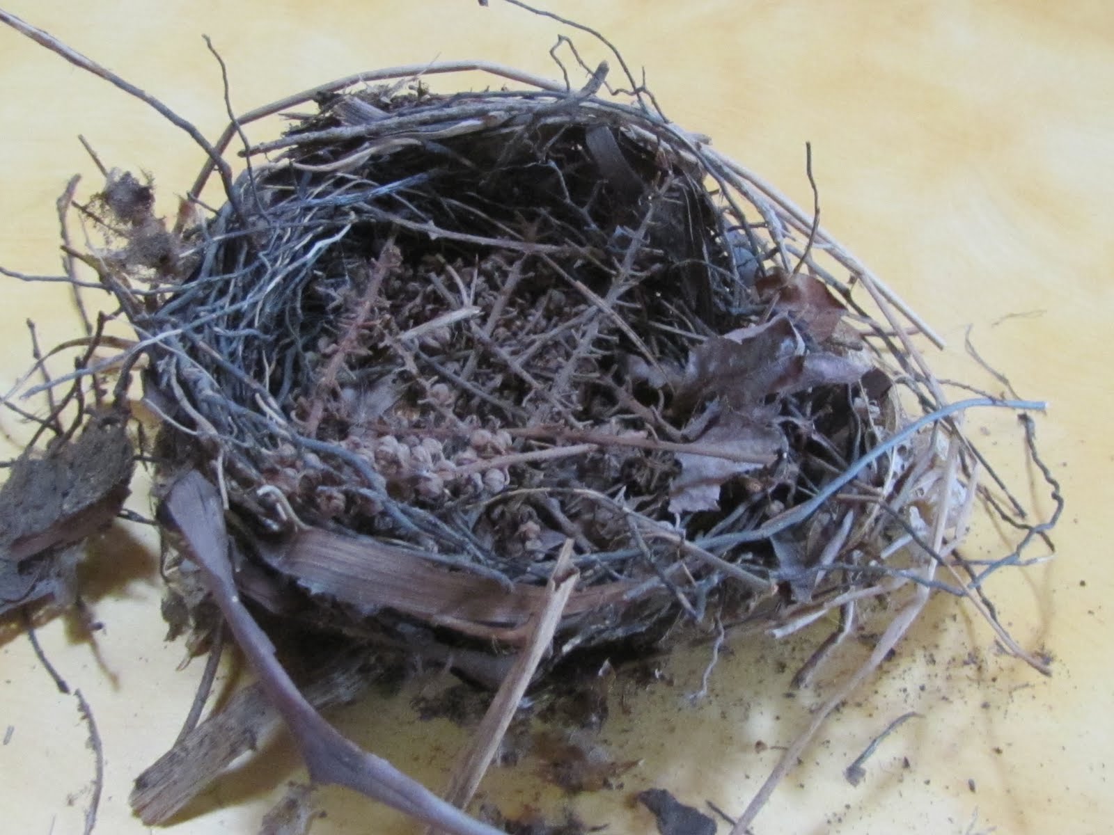 CHILD IN HARMONY: MAKE A NEST