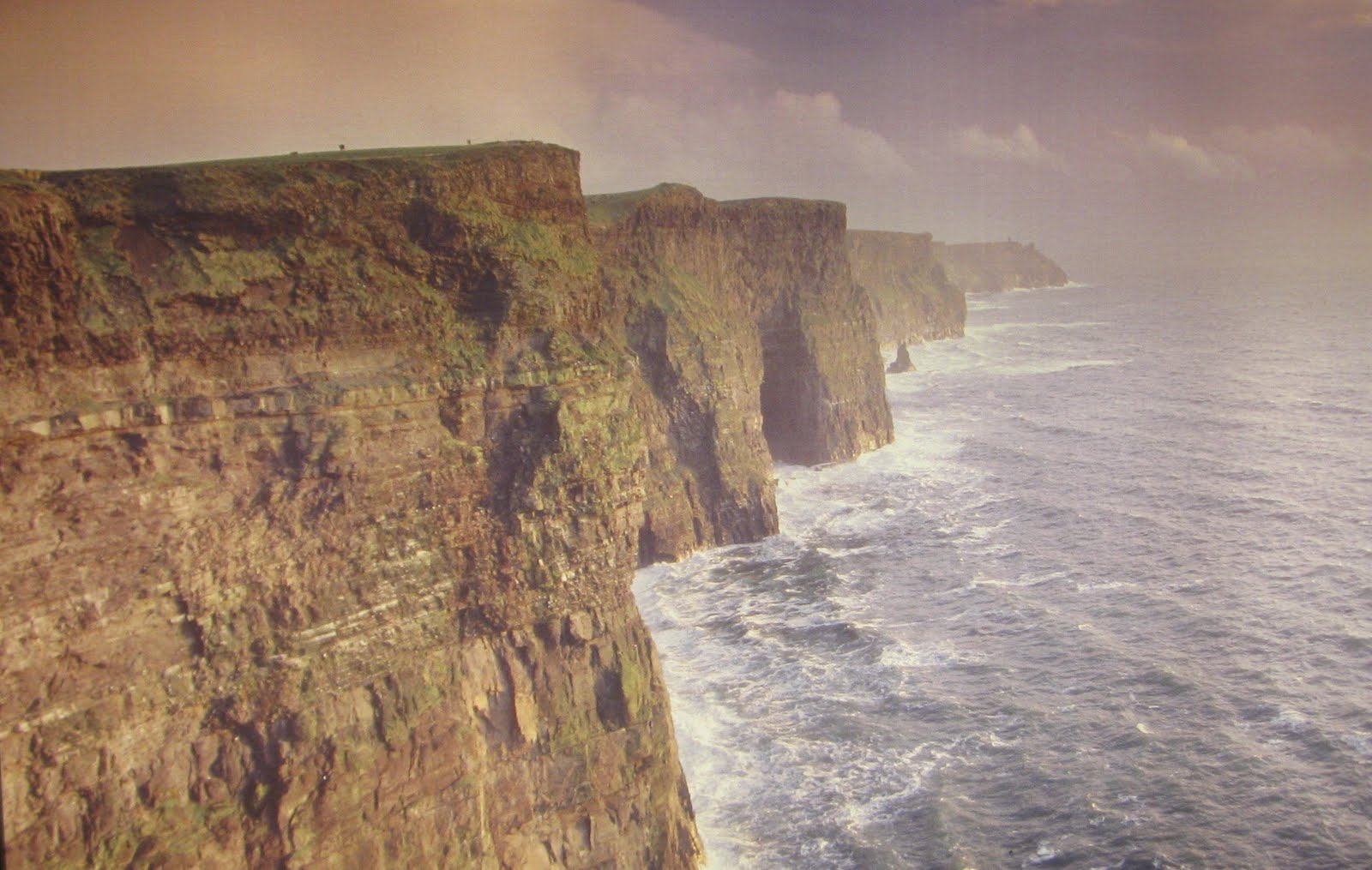 troutbirder: Foggy Rainy Day in Ireland