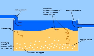 iagram: Diagram of a Deep Sand Bed