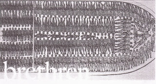 Wahyusamputra: Tight packing for the middle passage