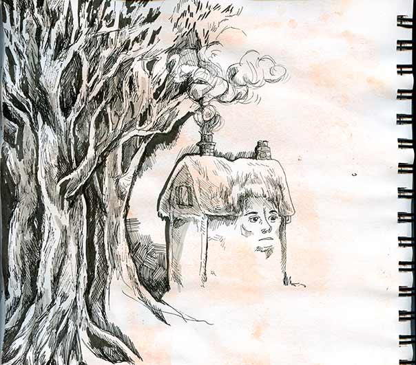 Alana Kyle Draws: House Face