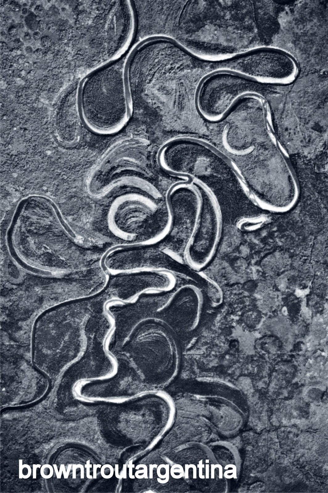 BROWN TROUT ARGENTINA GEO: La Fisonomía de los Ríos