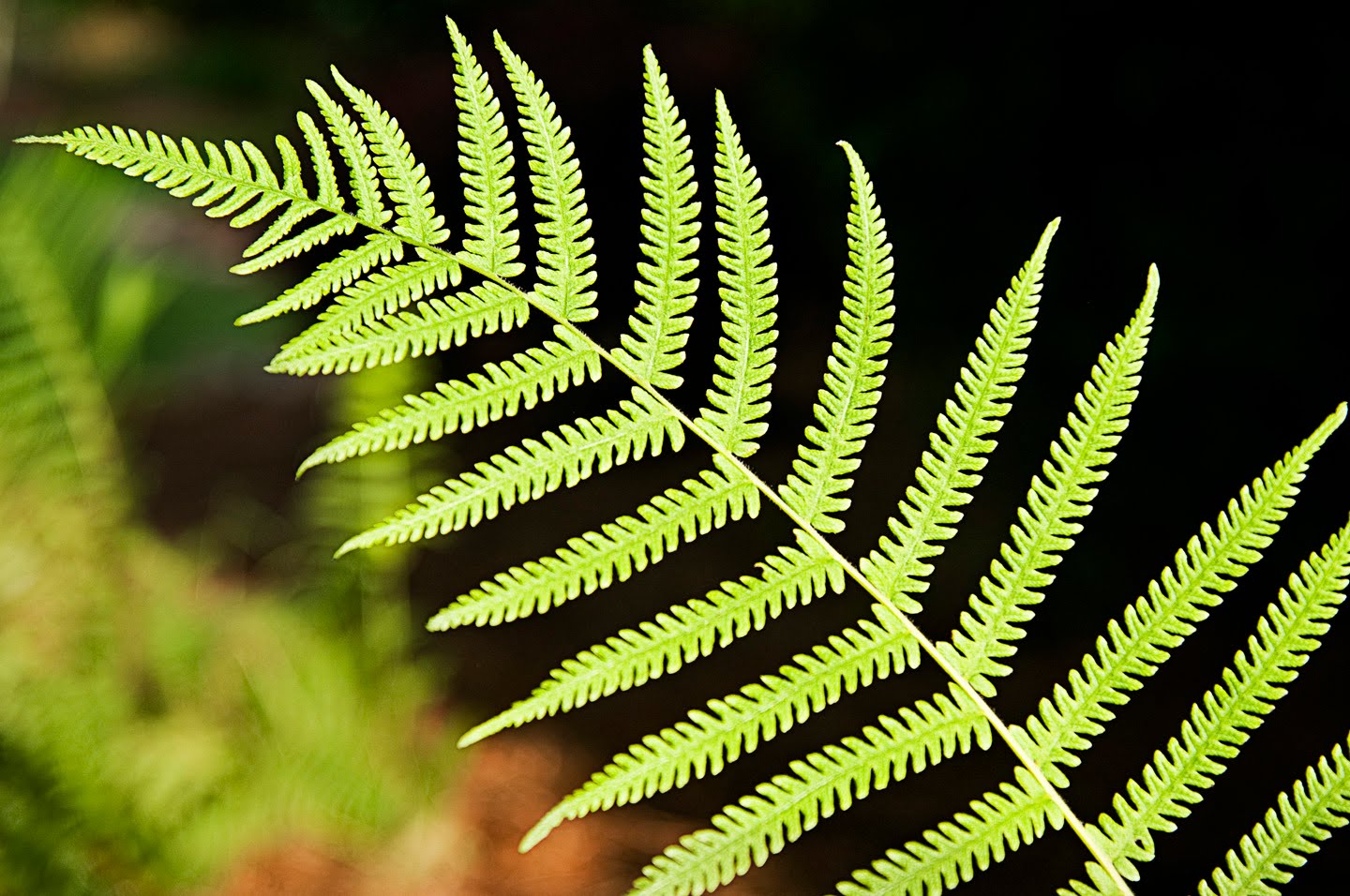 About A Boy: Behind The Lens: Amy LeJeune