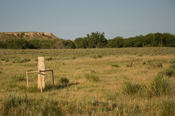 Frank Thompson's Kansas Journeys: Cimarron National Grasslands