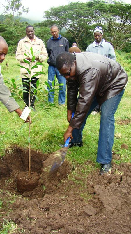Kenya Forests: President’s Award Scheme Plants In Ngong Hill