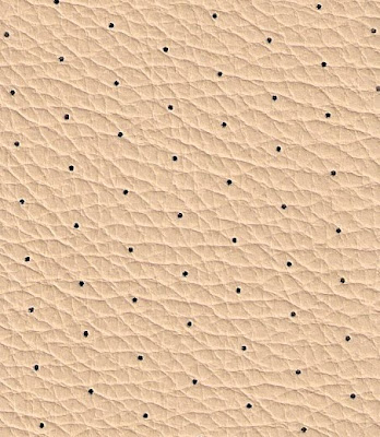 AUTOTEX CORPORATION: Piele sintetica perforata