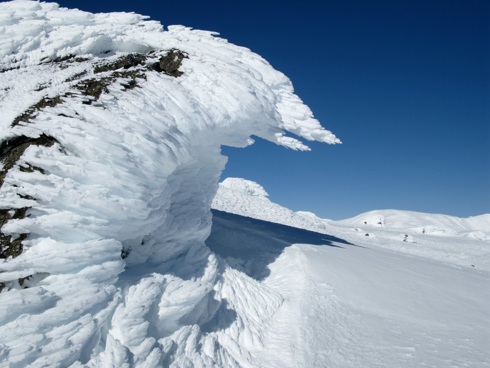 Darren M: Mount Tate