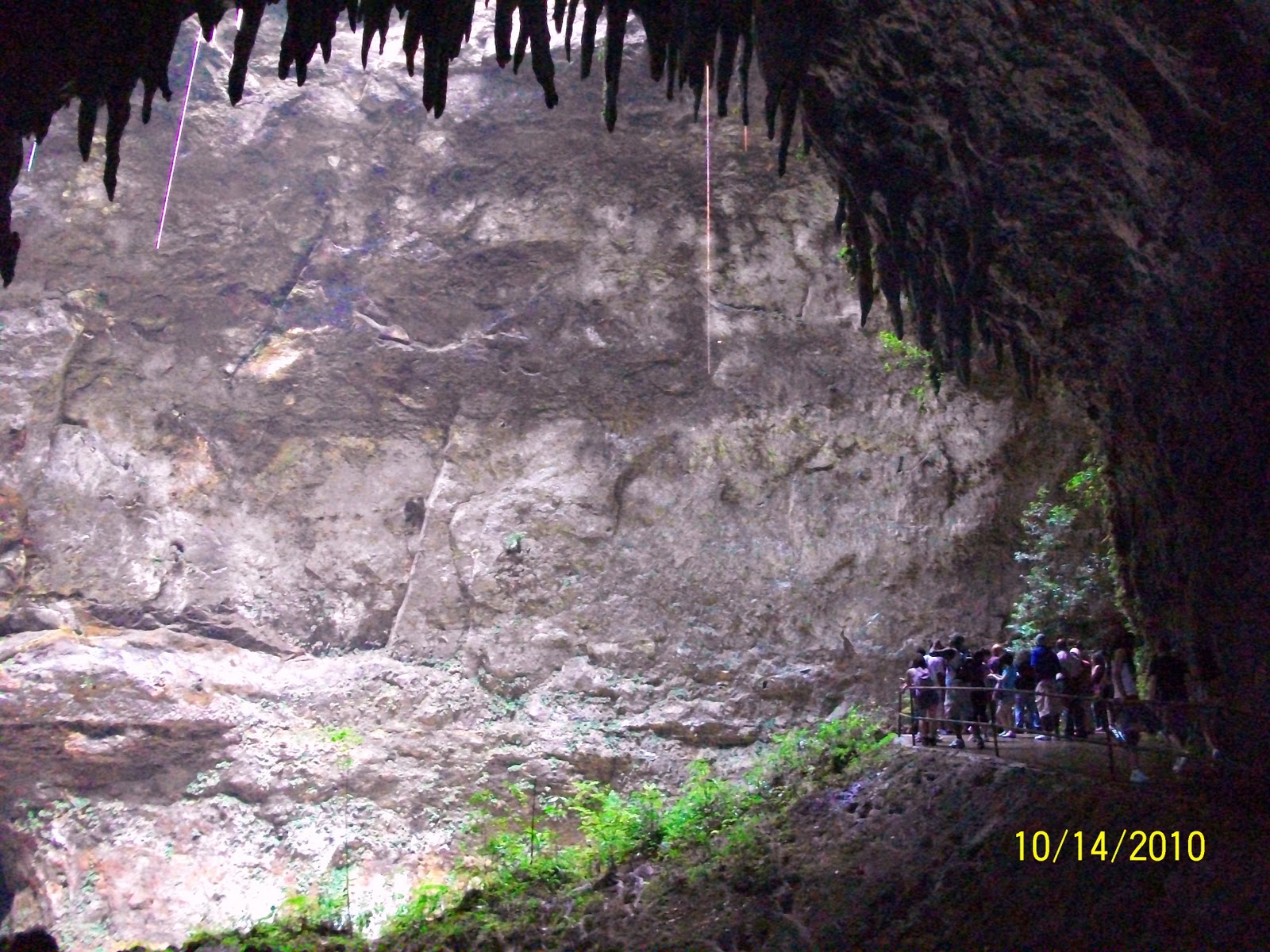 Puerto Rico: Las Cuevas de Camuy