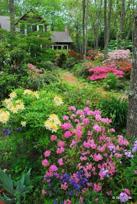 Clatter Valley: Field Trip to George and Bob's Spring Fling