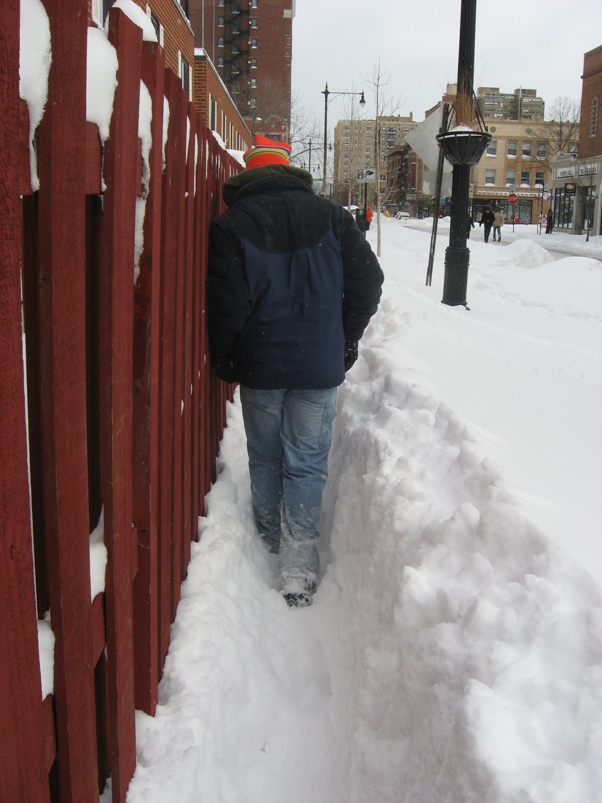 Rata's Rants: Chicago Blizzard! (Slash Snowpocalypse, slash Snowmaggedon)