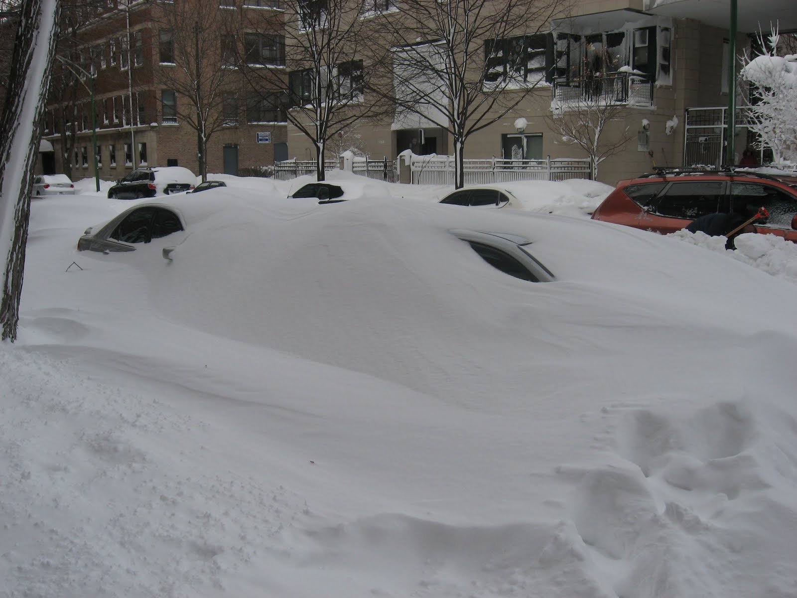 Rata's Rants: Chicago Blizzard! (Slash Snowpocalypse, slash Snowmaggedon)