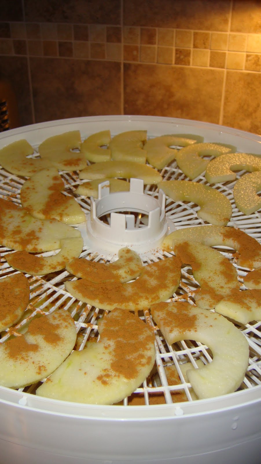 Sara B Consulting: Fall Snacks - Dehydrated Apples & Turkey Jerky