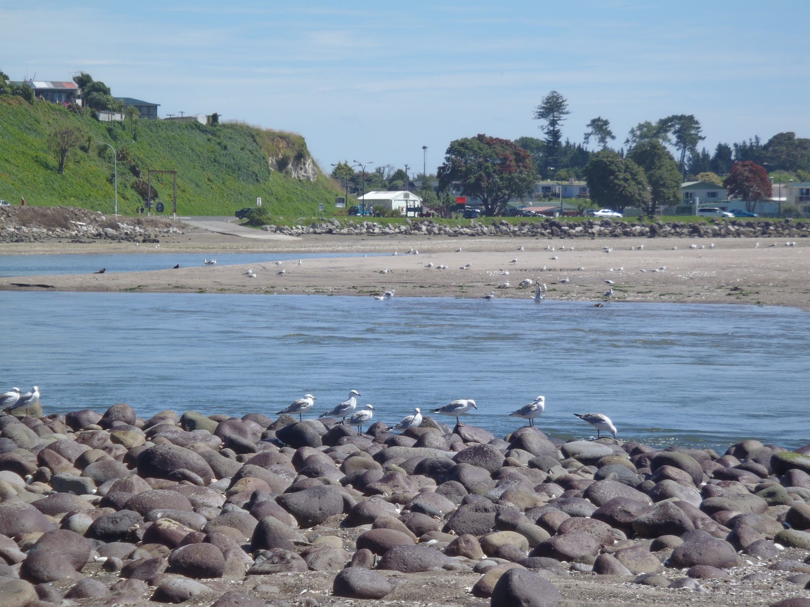 Destino familiar: New Zealand: Maketu - pueblecito costero a unos 15 ...