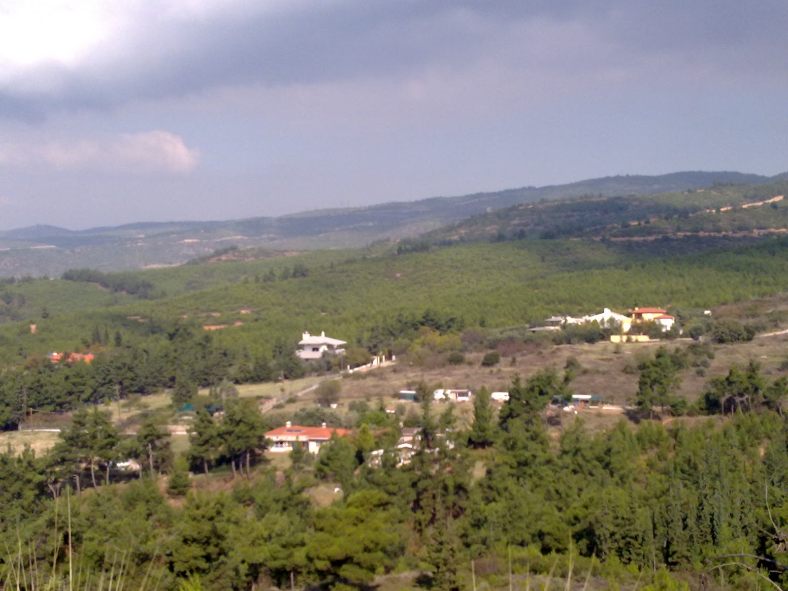 ΤΑ ΚΑΜΕΝΑ ΔΑΣΗ ΘΑ ΓΙΝΟΥΝ ΠΑΛΙ ΔΑΣΗ.....ΟΧΙ ΒΙΛΕΣ , ΤΕΛΕΙΑ ΚΑΙ ΠΑΥΛΑ.