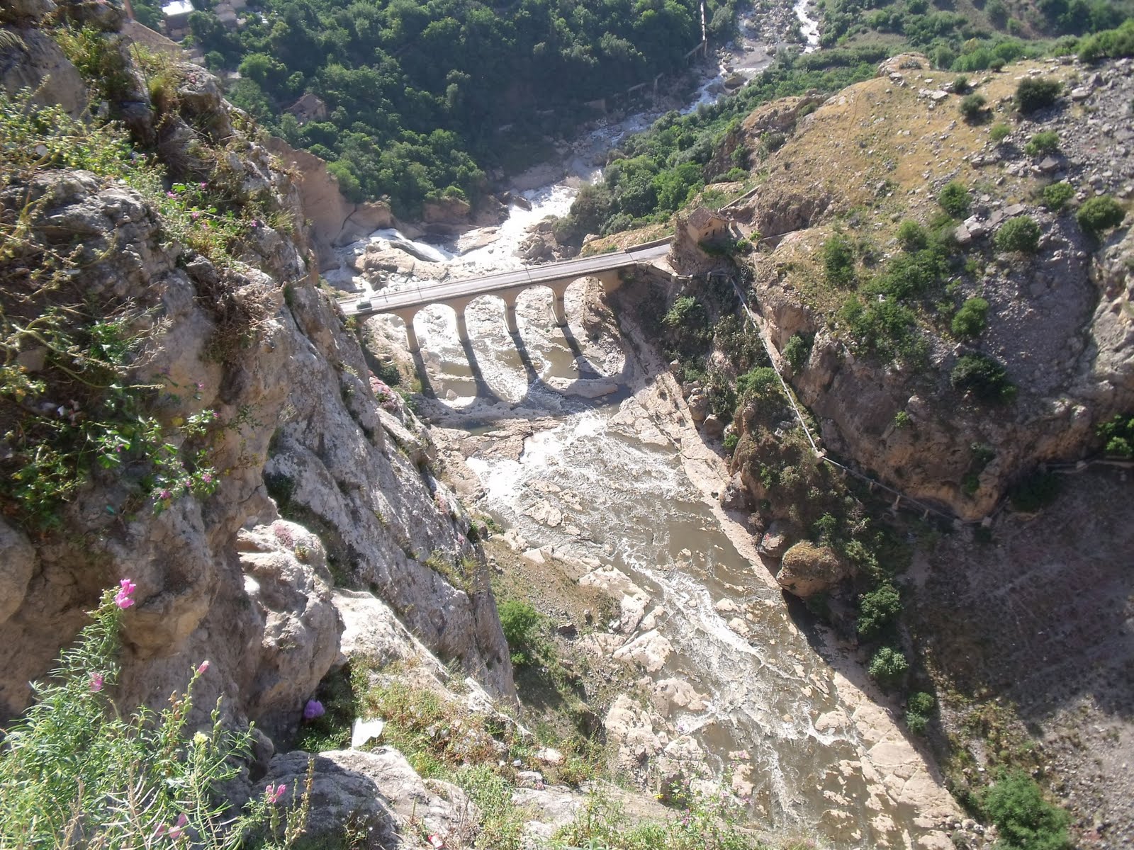 SOUK-AHRAS-BIENVENU SUR LE BLOG DES ENFANTS DE THAGASTE LE SITE DES ...