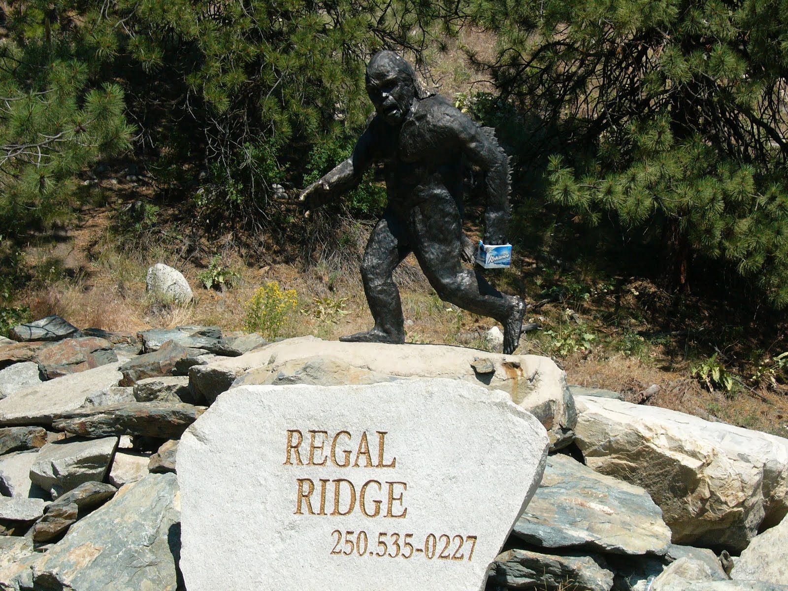 Brian Eley Bike Canada