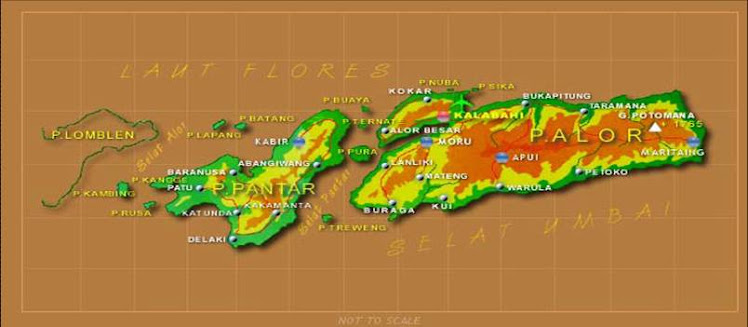 INFO SEPUTAR PEMKAB. ALOR: Gambaran Umum Kabupaten Alor