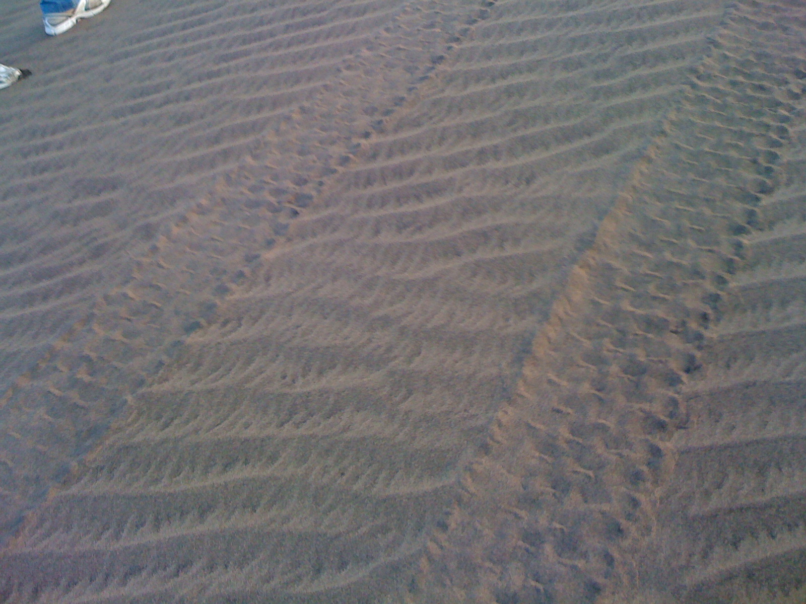 El campo dunar de con-con - Les dunes de Con-Con