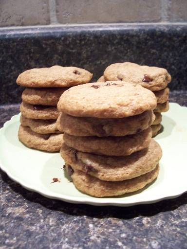 Sprouted Flour Cookies • The Prairie Homestead