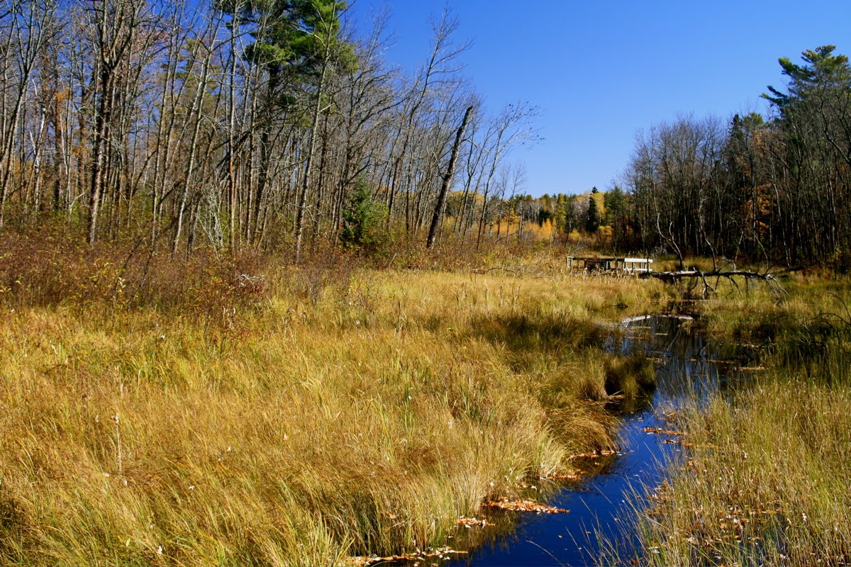 72 MN State Parks In 27 Days October 4 2010 Lake Bemidji State Park 72-mn-state-parks-in-27-days-october-4-2010-lake-bemidji-state-park