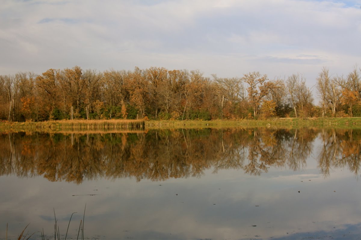 72 MN State Parks in 27 Days: October 9, 2010 - Monson Lake State Park