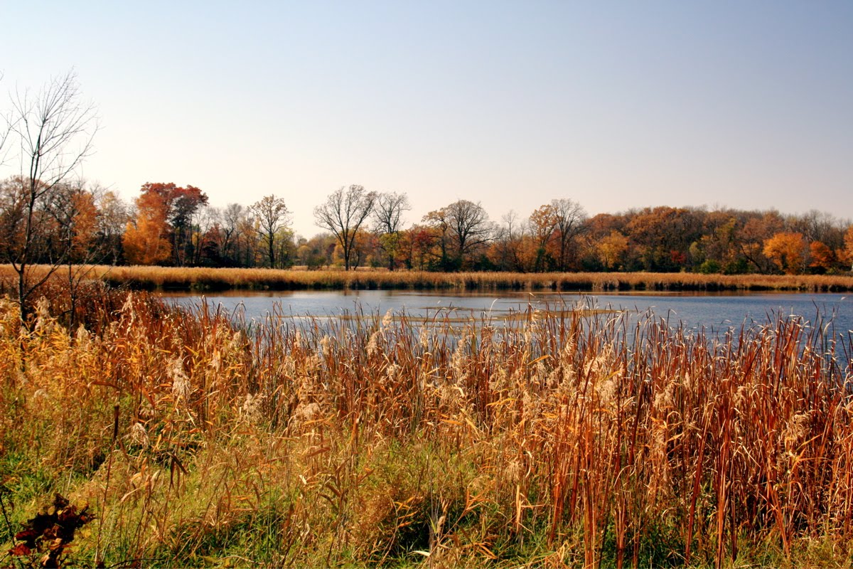 72 MN State Parks in 27 Days: October 8, 2010 - Lake Maria State Park