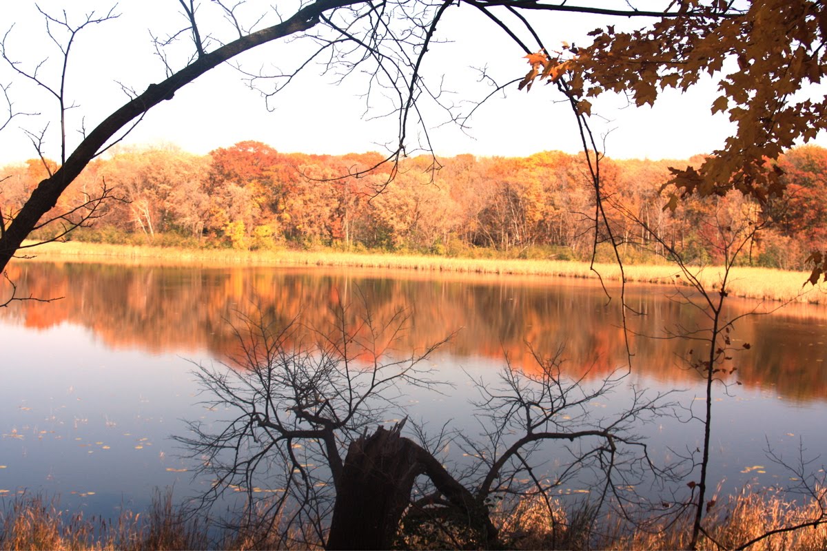 72 MN State Parks in 27 Days: October 8, 2010 - Lake Maria State Park