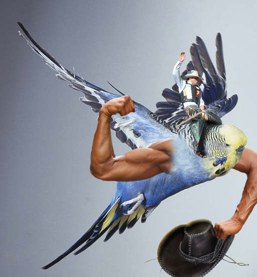 Redshirt's Lament: Two in the Bush (One Hand Clapping)