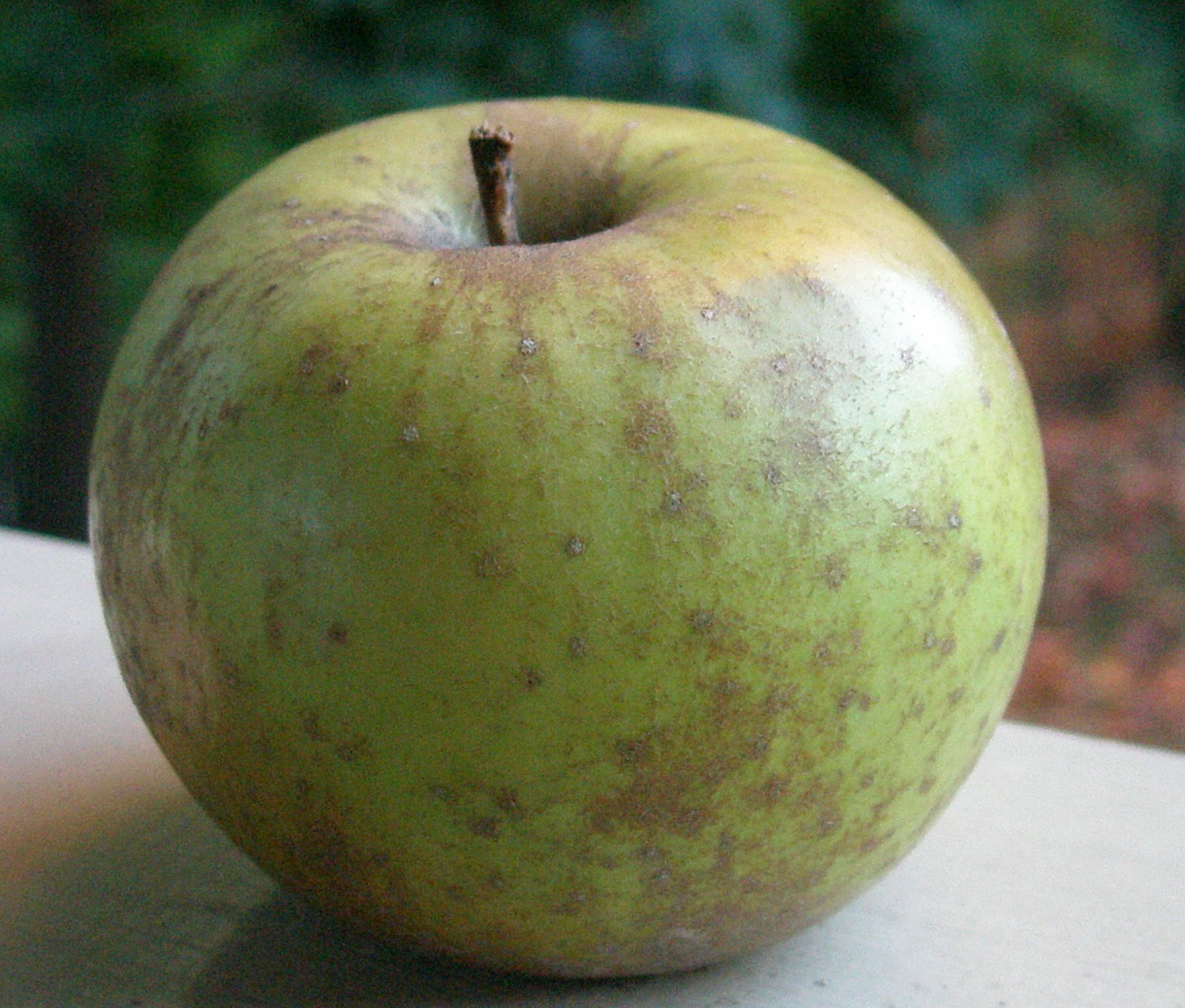 Are Russet Apples Good For You at Harry Brawner blog