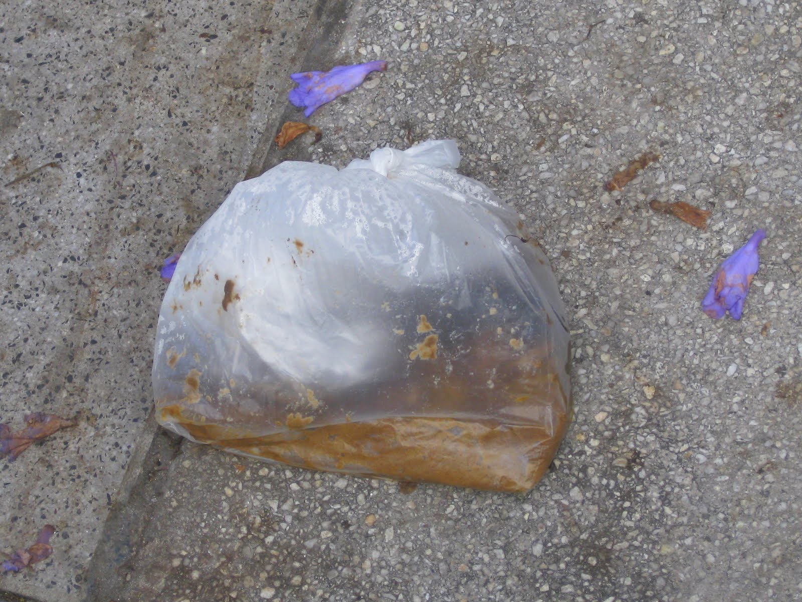 pictures of disgusting crap on the street: The Shit Sack is a Global ...