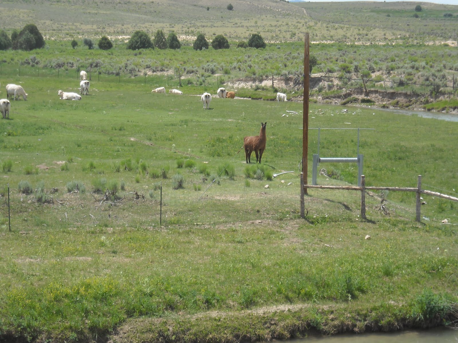 2010 Road Trip To Redmond: The Return Trip - The Utah National Parks