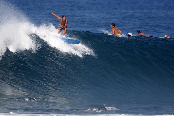 1000+ images about Kirk & Robert - Surfing on Pinterest | Kirk hammett ...