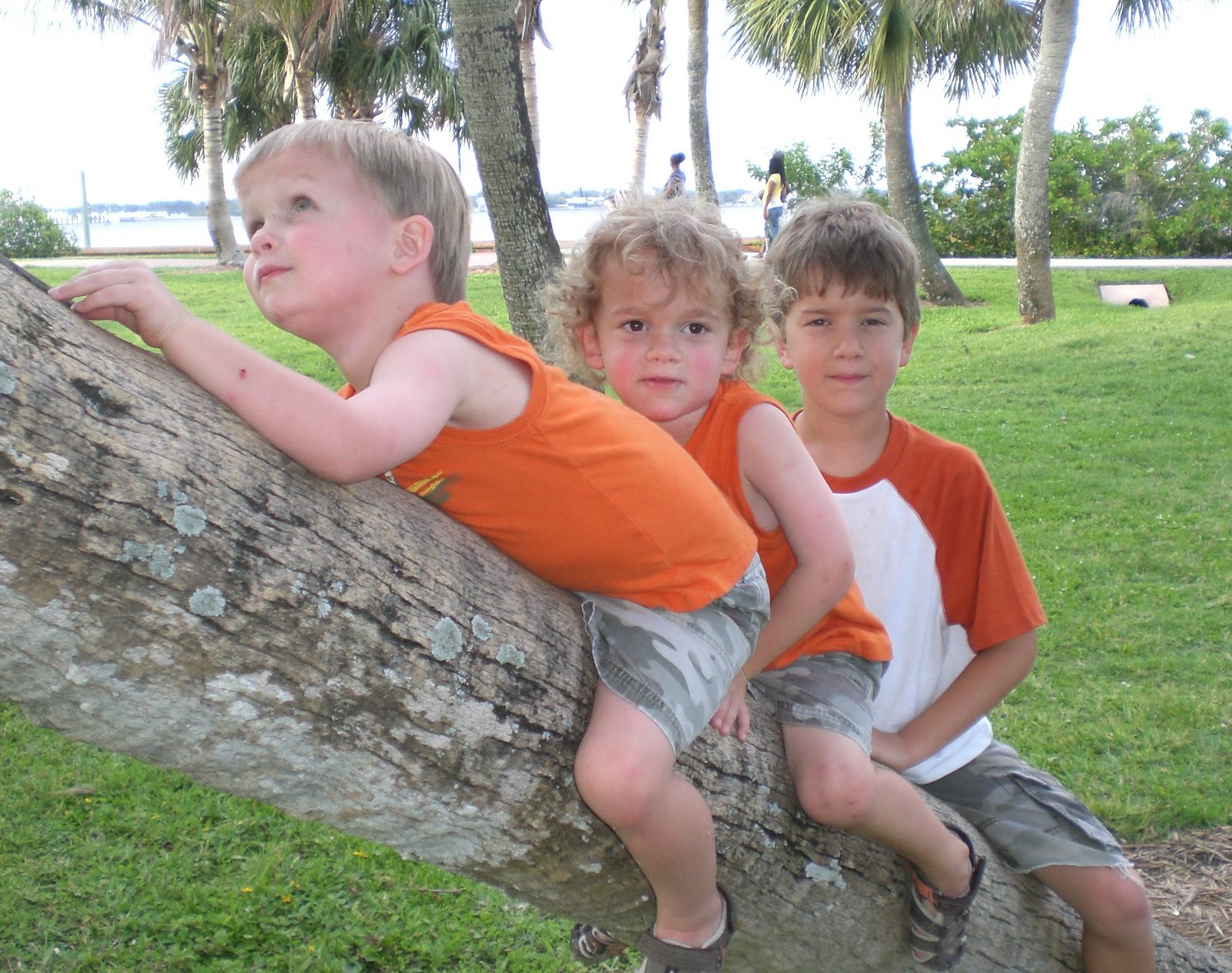 Barefoot Cowboys: My Little Tree Climbers