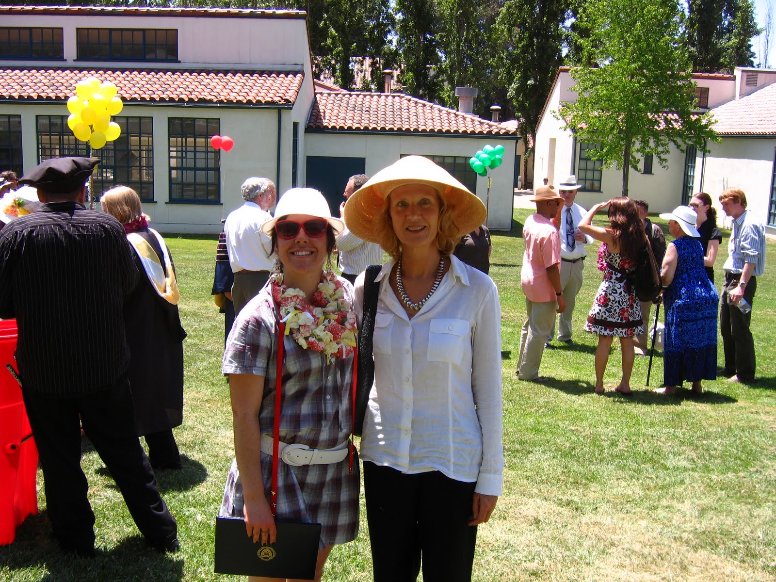 Senior Thesis Lattice