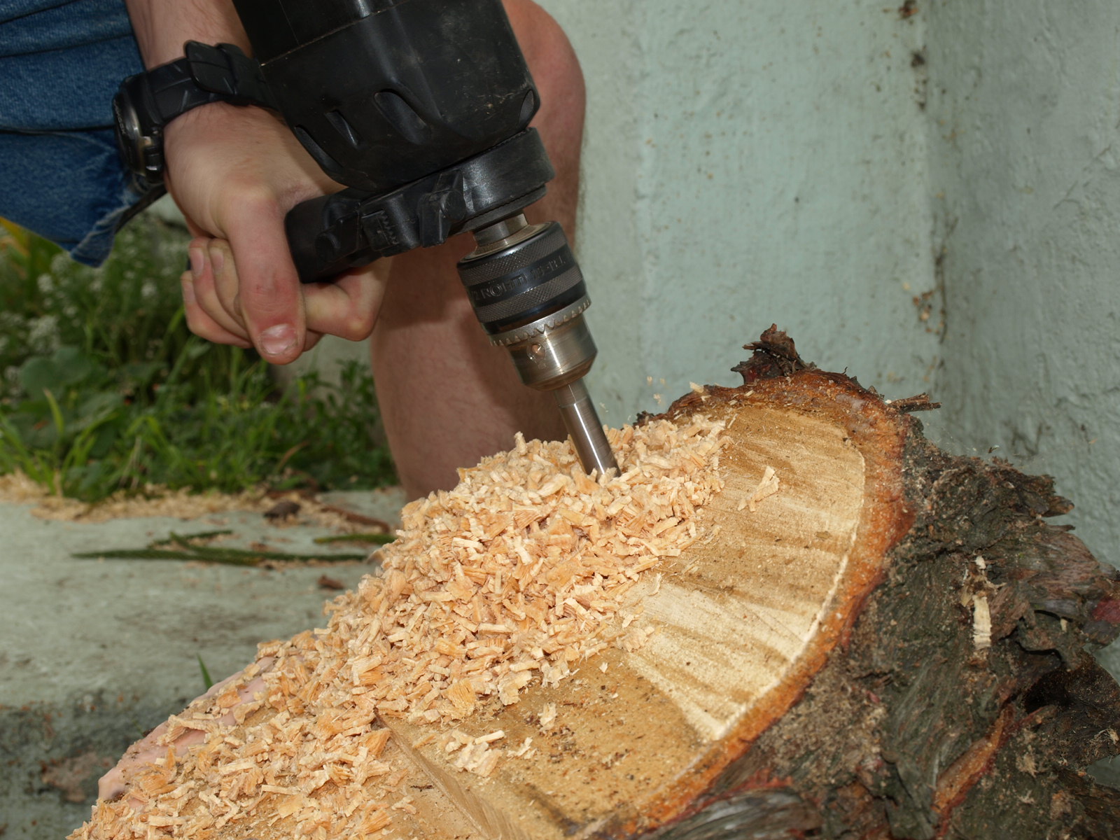 The Saga of the Stump