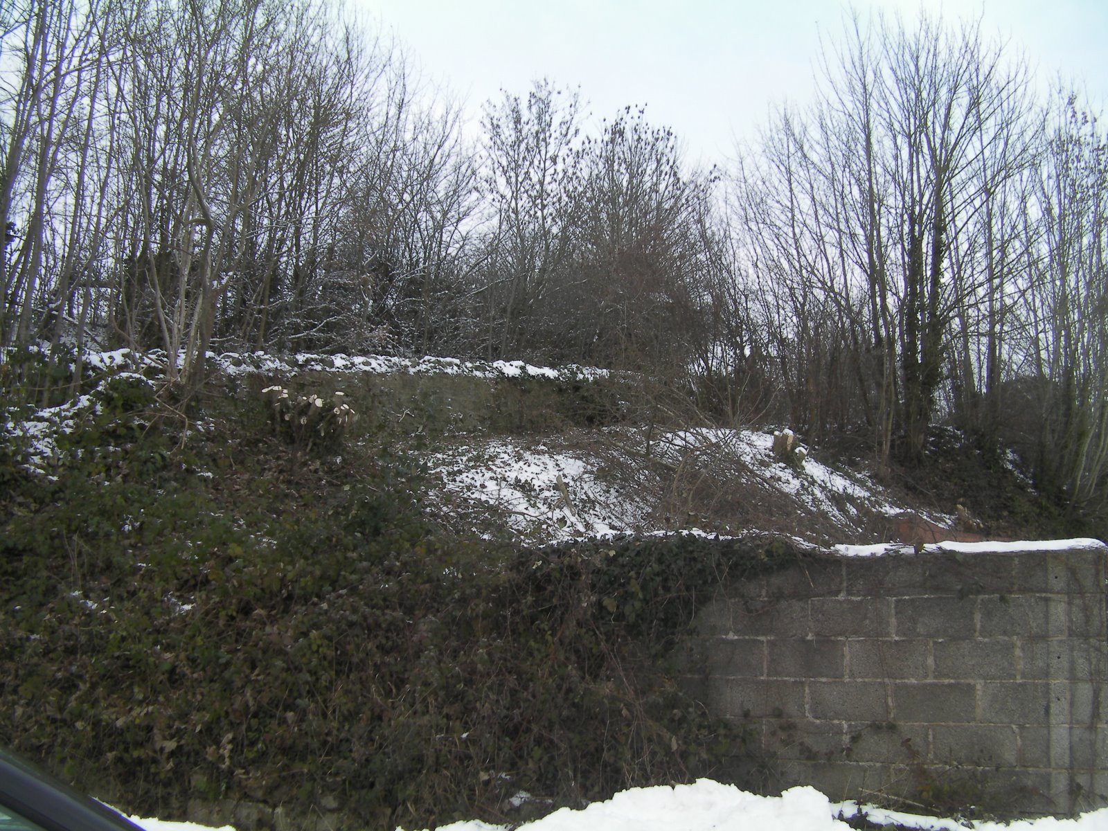 Rail Thing - Friends of the S&D: December 2010