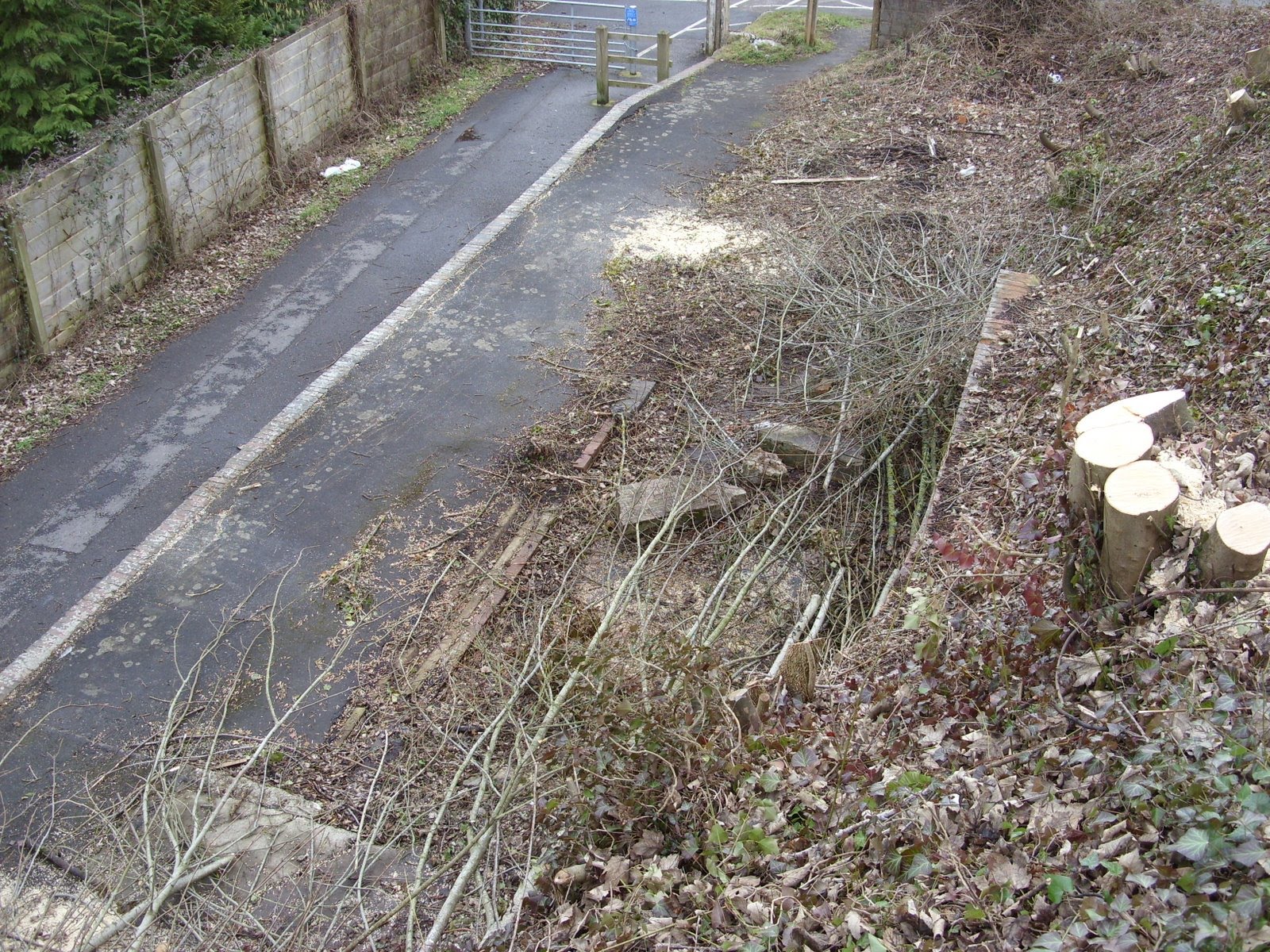 Rail Thing - Friends of the S&D: February 2011