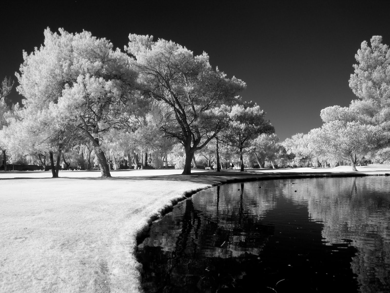 Our world between 650nm-850nm: First experience with IR photography