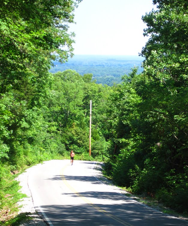 Bill's TN Paradise: Running Roark's Cove Rd. - 1000' climb in 2.8 miles