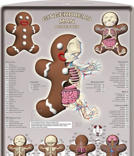 Gastronomista: Gingerbread Man, Dissected
