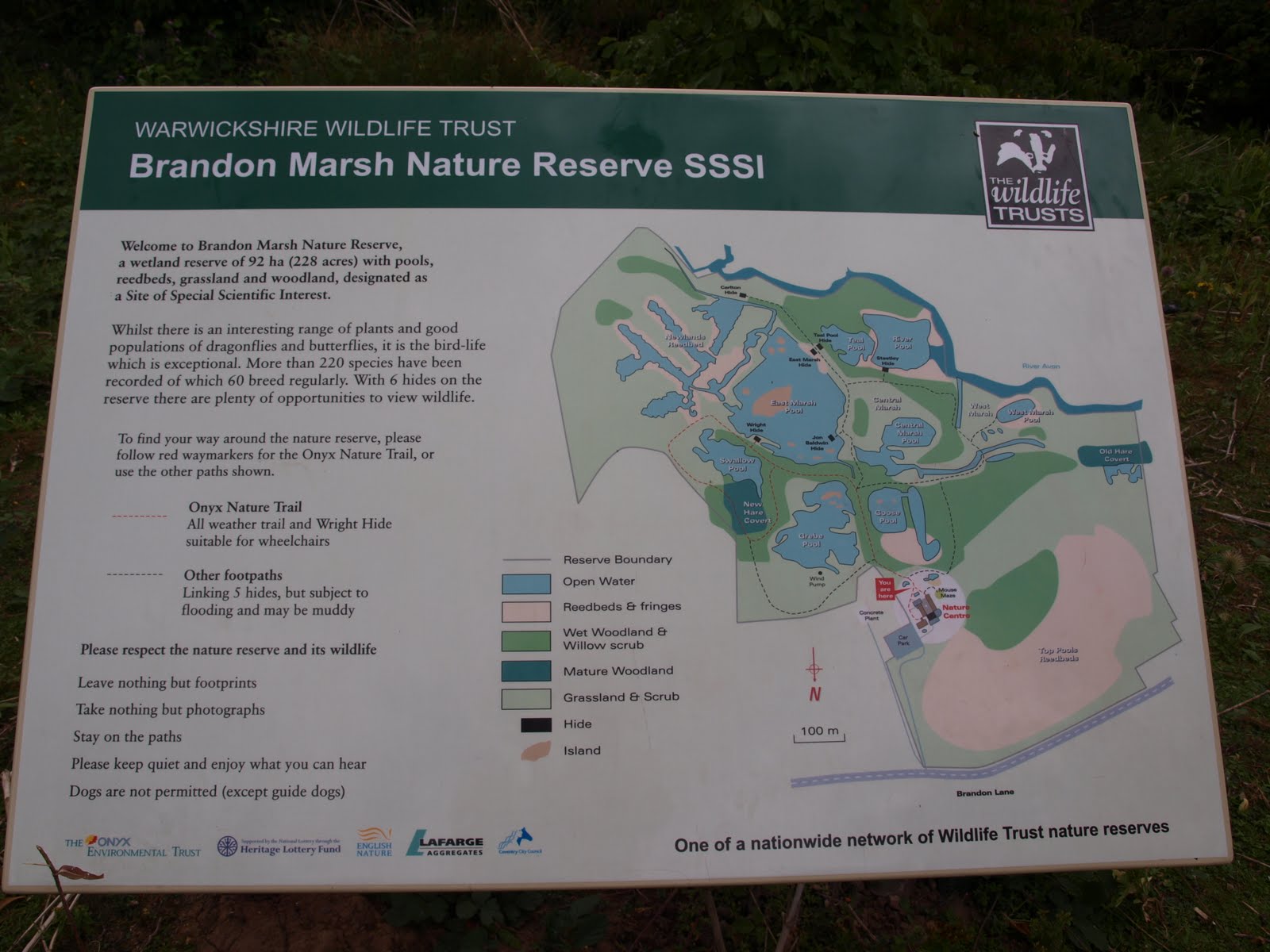 Ragged Robin's Nature Notes: Brandon Marsh NR Warwickshire
