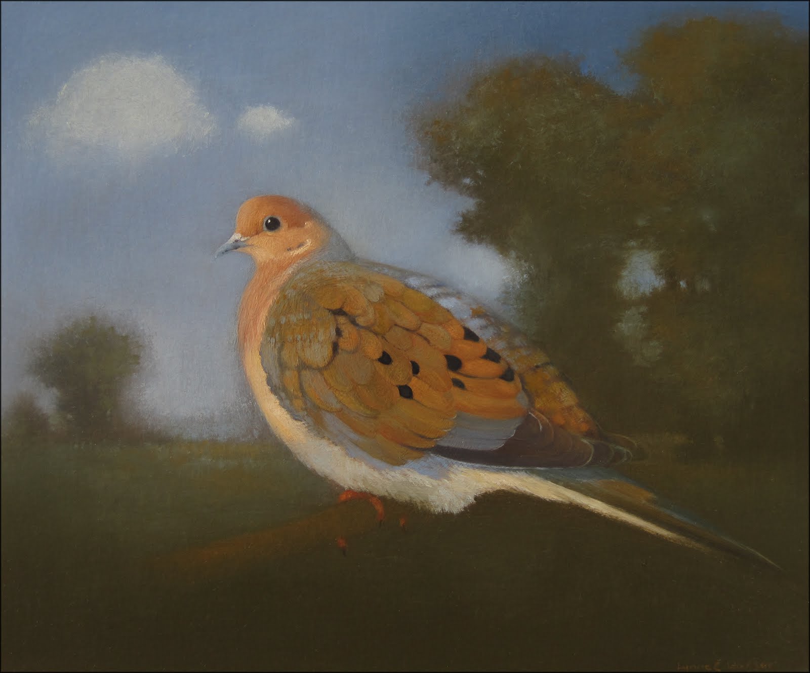 Victorian Mourning Dove
