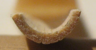 Bassoon Blog: Bassoon reed-making for beginners