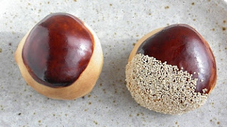 Four Seasons in Japan: Sweet chestnut and Pacific saury