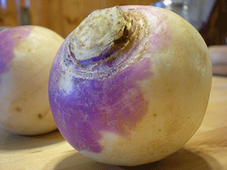 Pureed Turnips with Horseradish Cream