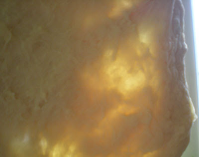 Becoming a Daring Baker . . . My First Challenge